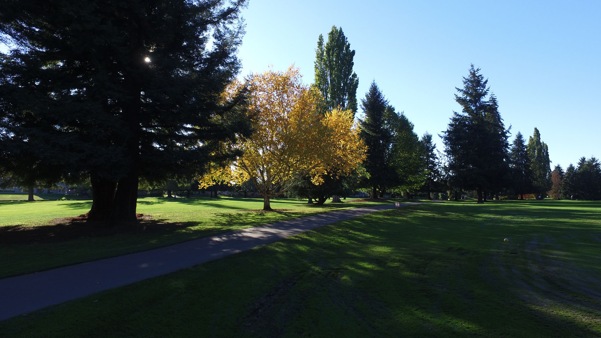 Photo Gallery - McNary Golf Club