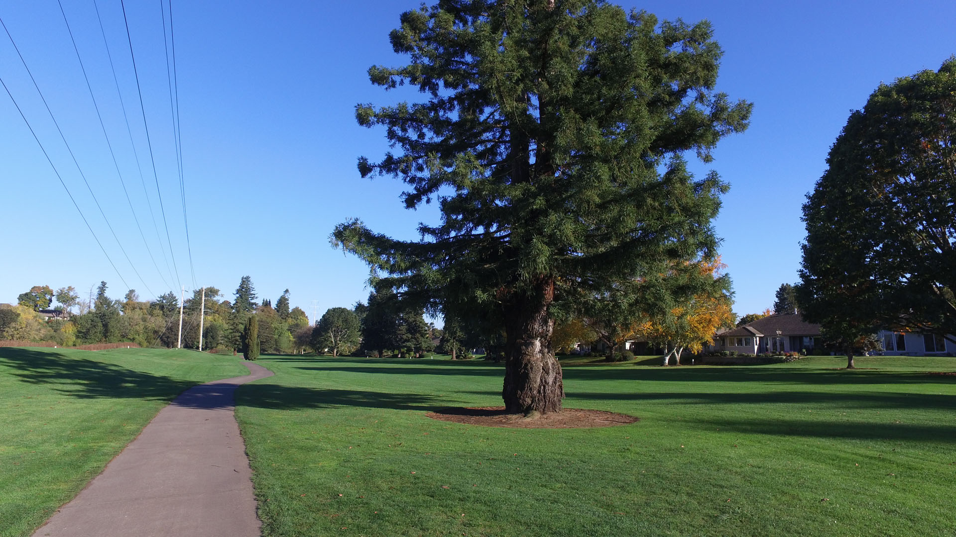 Photo Gallery - McNary Golf Club