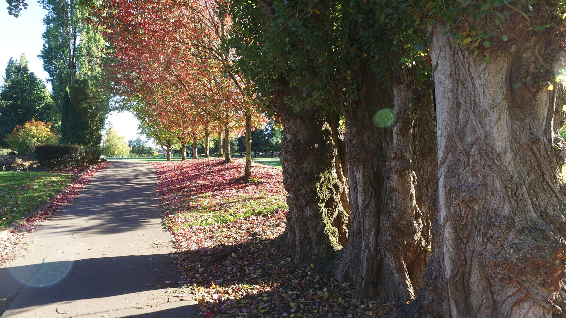Photo Gallery - McNary Golf Club