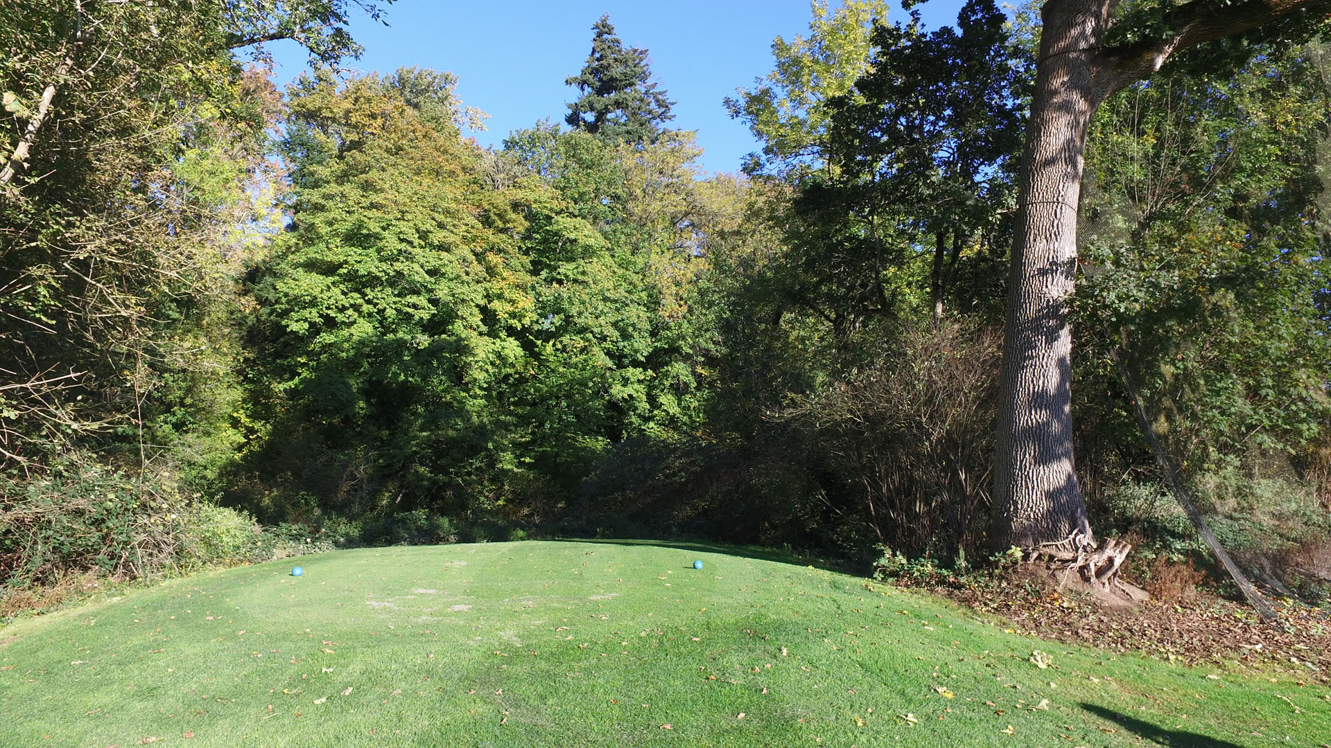 Photo Gallery - McNary Golf Club