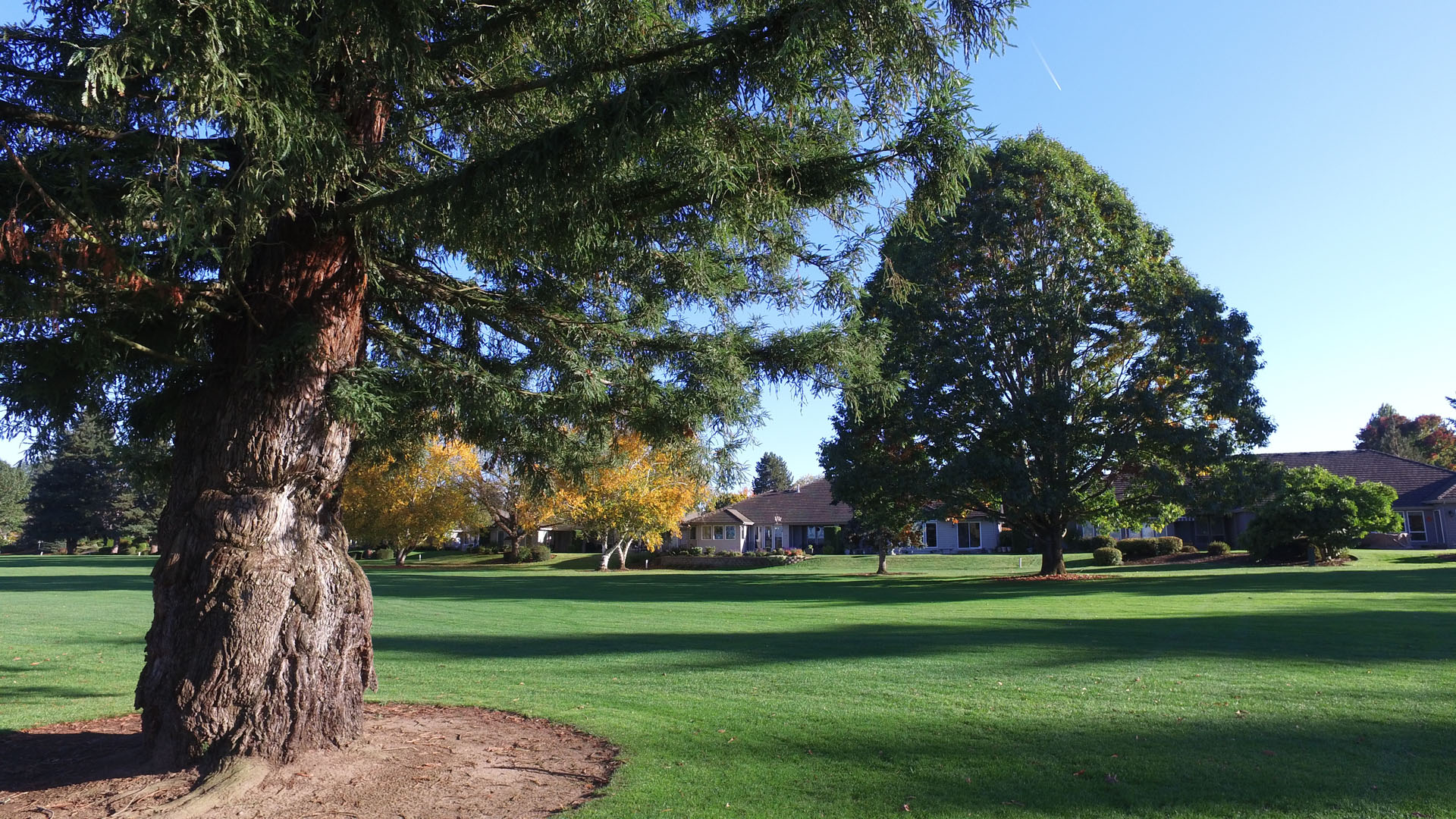 Photo Gallery - McNary Golf Club